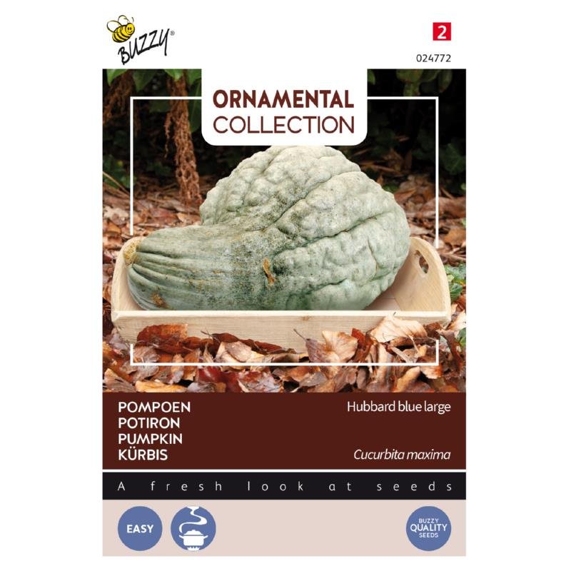 Græskar Large Blue Hubbard | Cucurbita Maxima | Frø